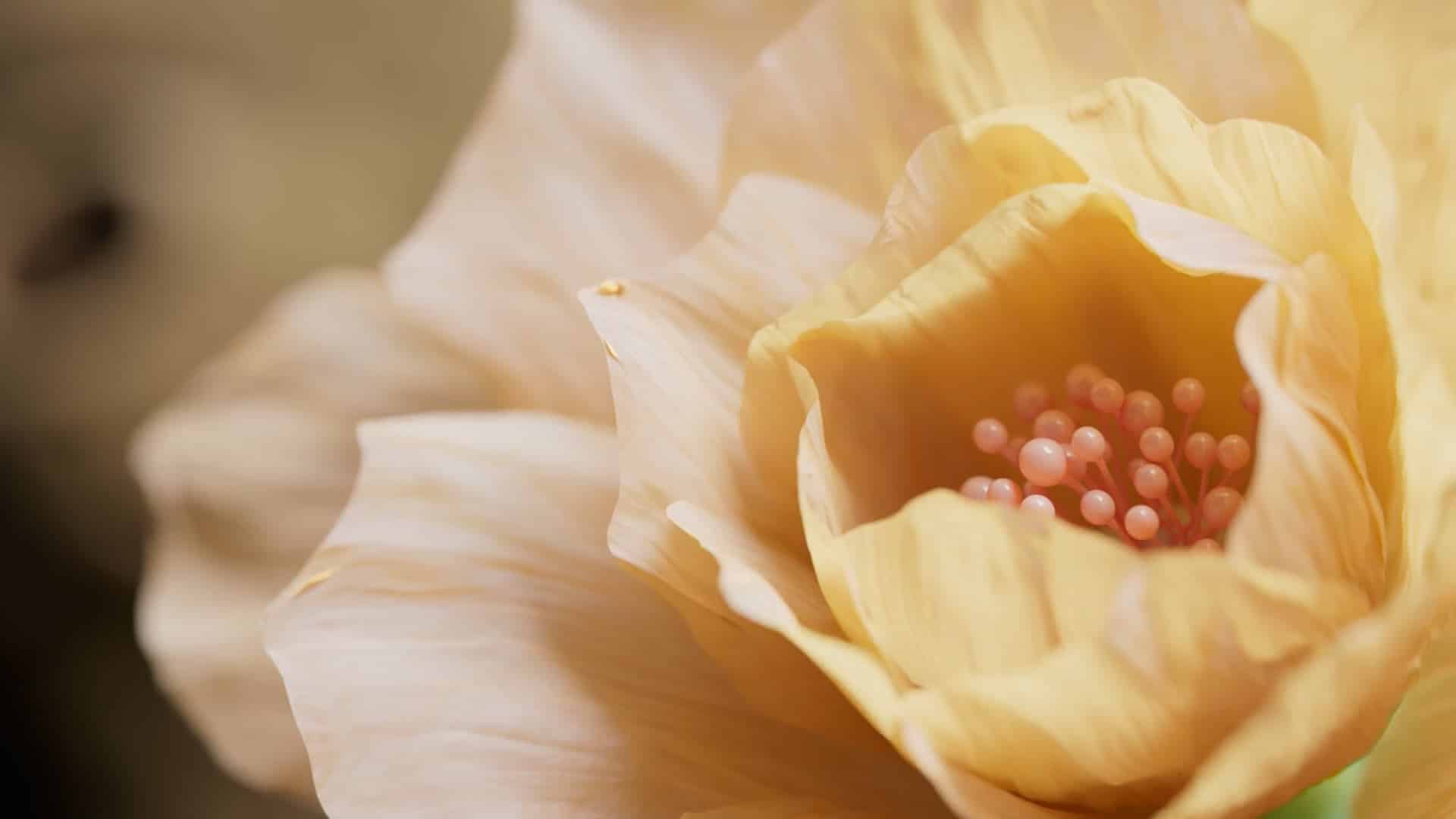 Blooming Flower - Gen Li